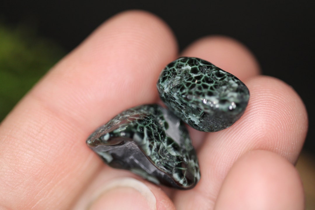 6g Pair Michigan Greenstone Chewy dark Beauty Rare Chlorastrolite ...
