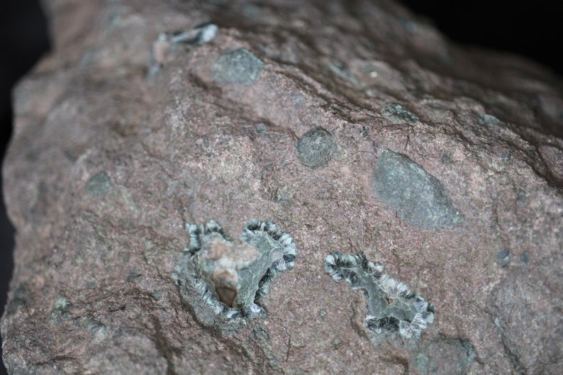 Rare 11lb Greenstone Basalt Display Michigan's State - Etsy