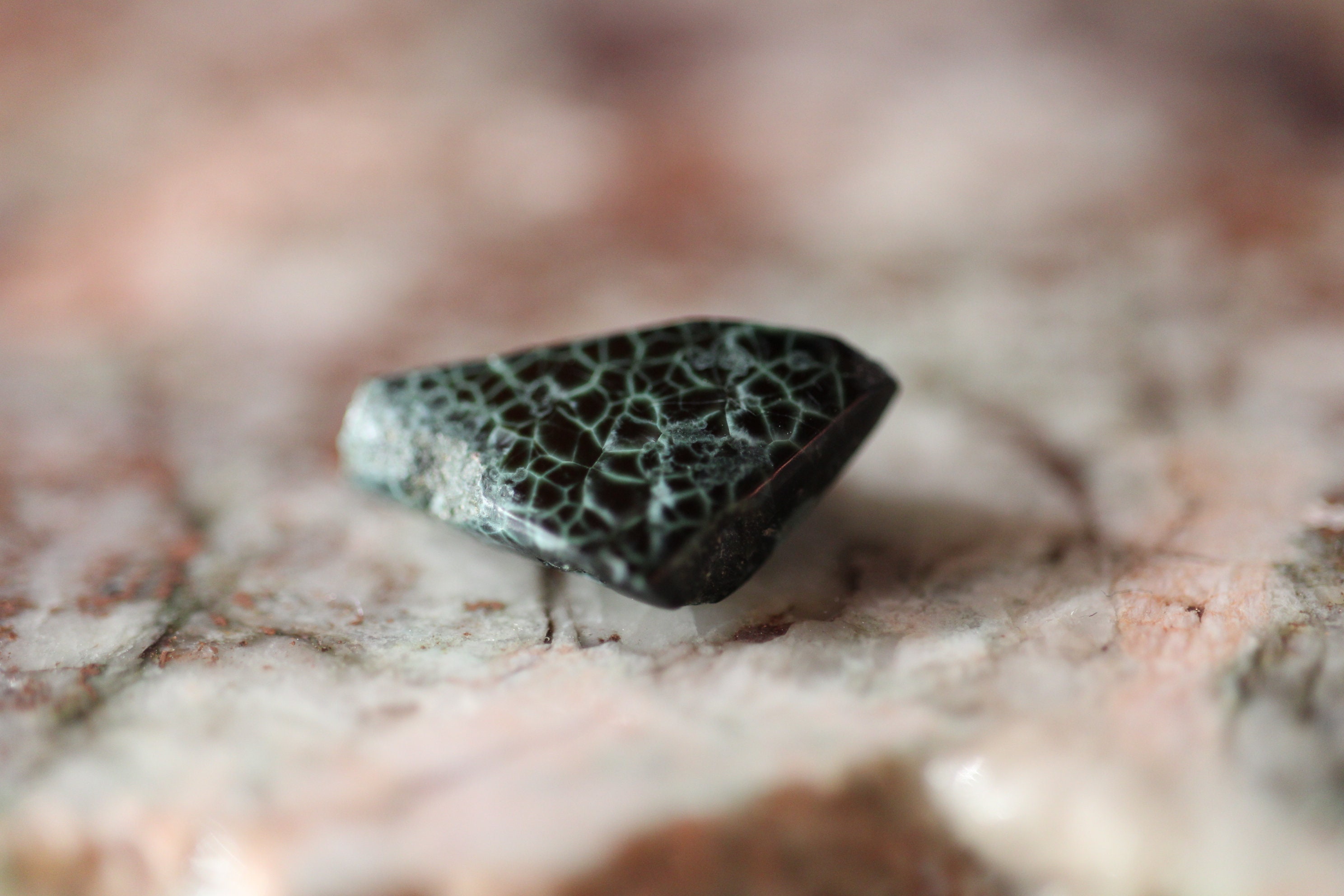 1g Michigan Greenstone Specimen Rare Chlorastrolite Semi - Etsy