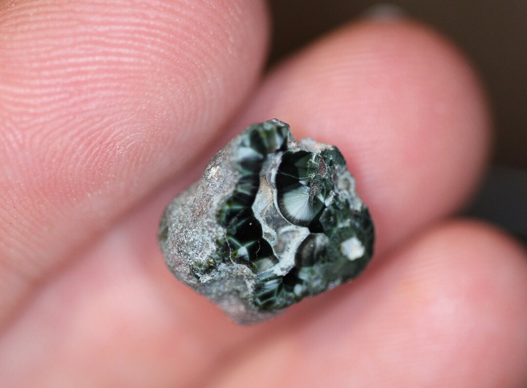 7g 3 Pc. Isle Royale Greenstone Specimen Rare Chlorastrolite Semi ...