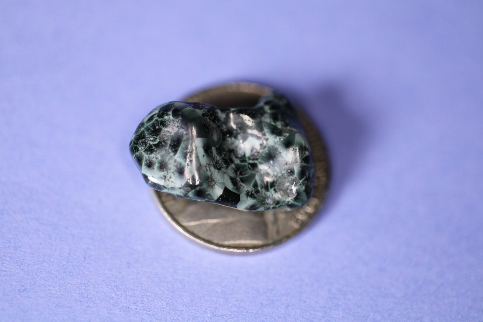 Michigan Greenstone BEAD Specimen Rare Chlorastrolite Semi | Etsy