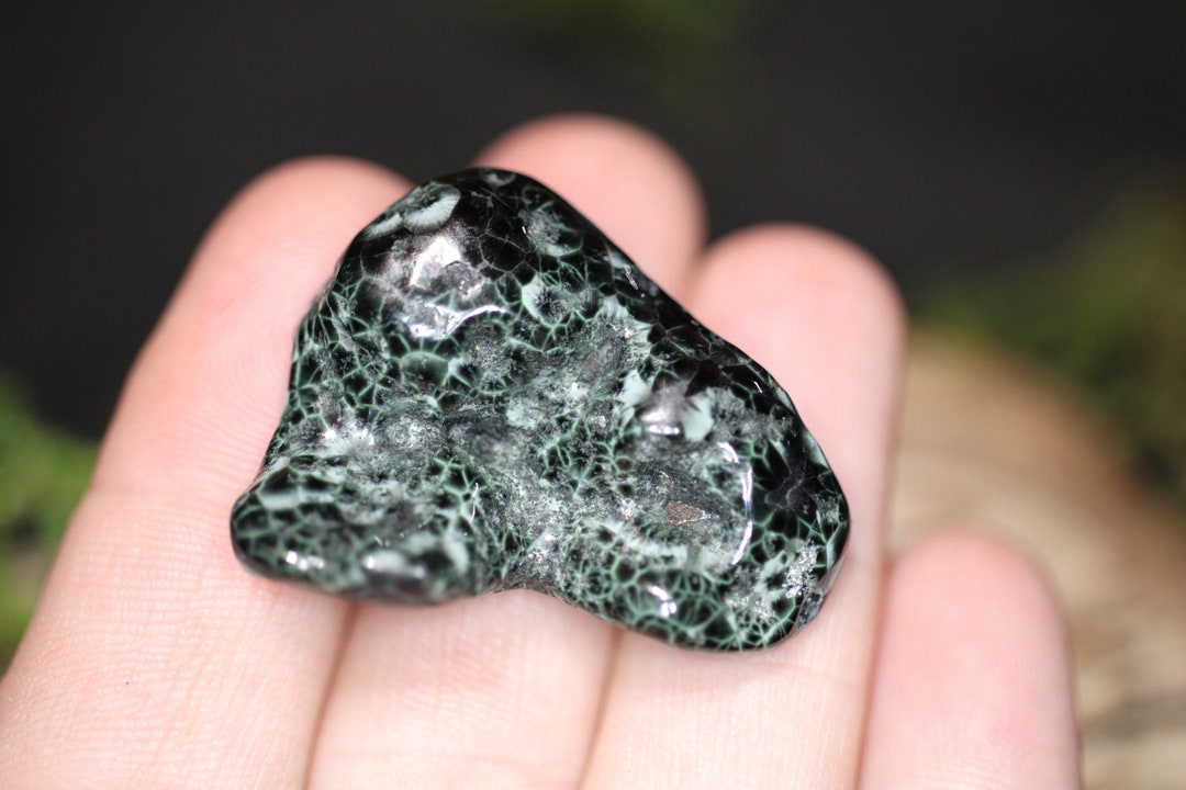 HUGE 11g Isle Royale Greenstone Chewy Rare Chlorastrolite Specimen - Etsy