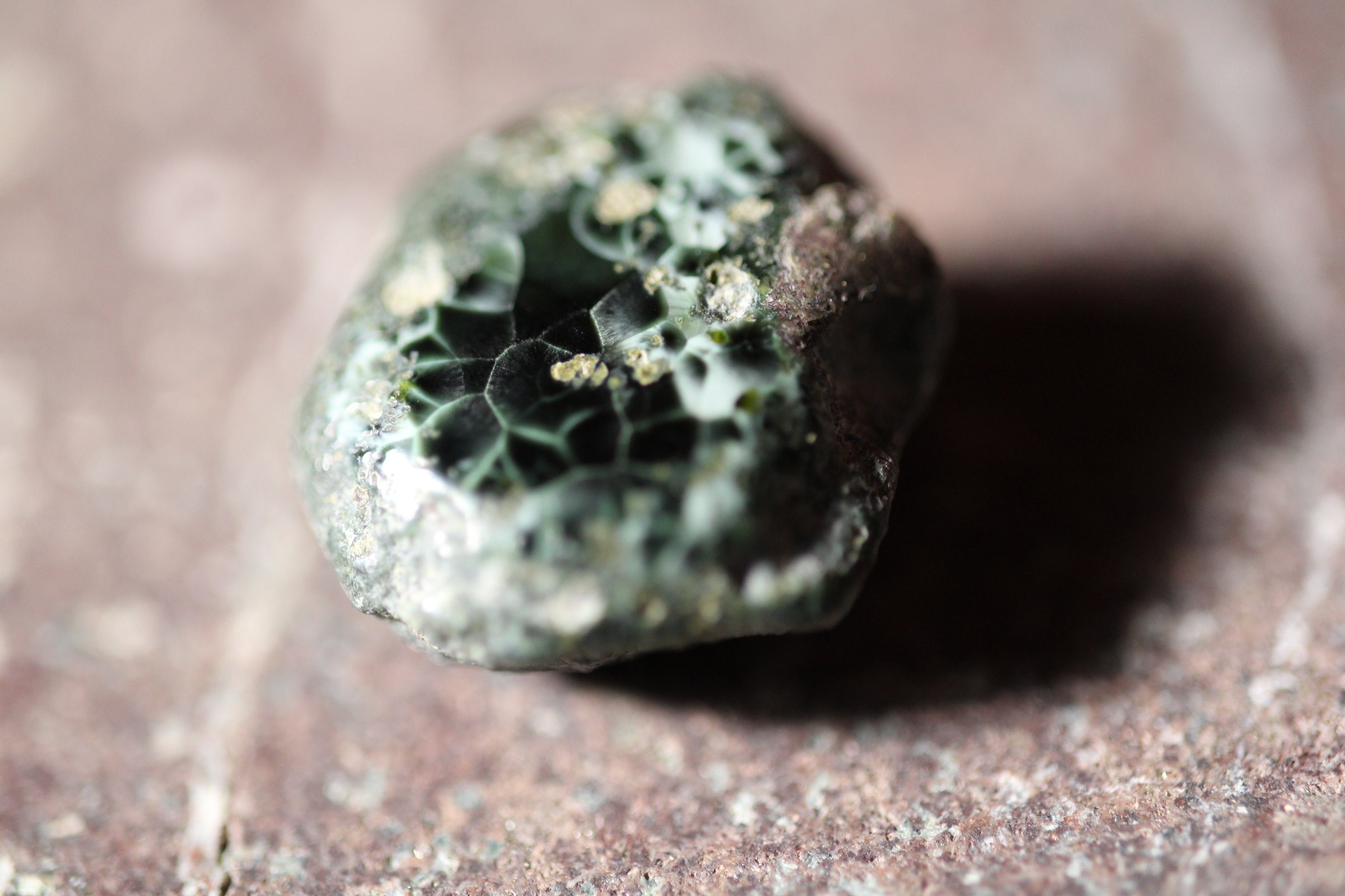 2g Michigan Greenstone Rare Chlorastrolite Semi Polished | Etsy