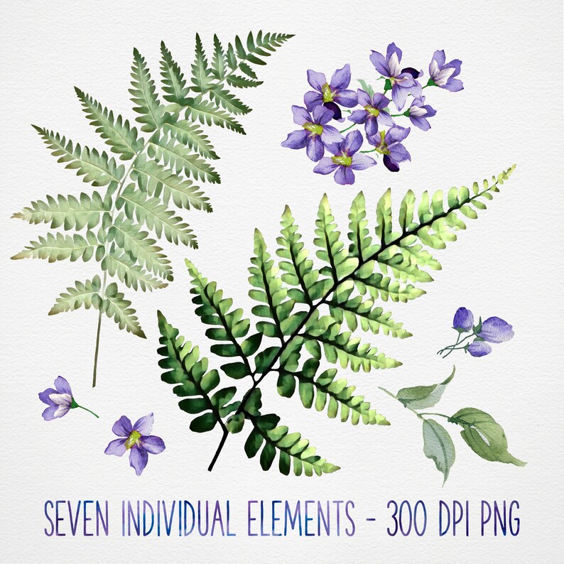 Wild Violets and Ferns Hand-painted Watercolour Clip Art With Wreaths ...