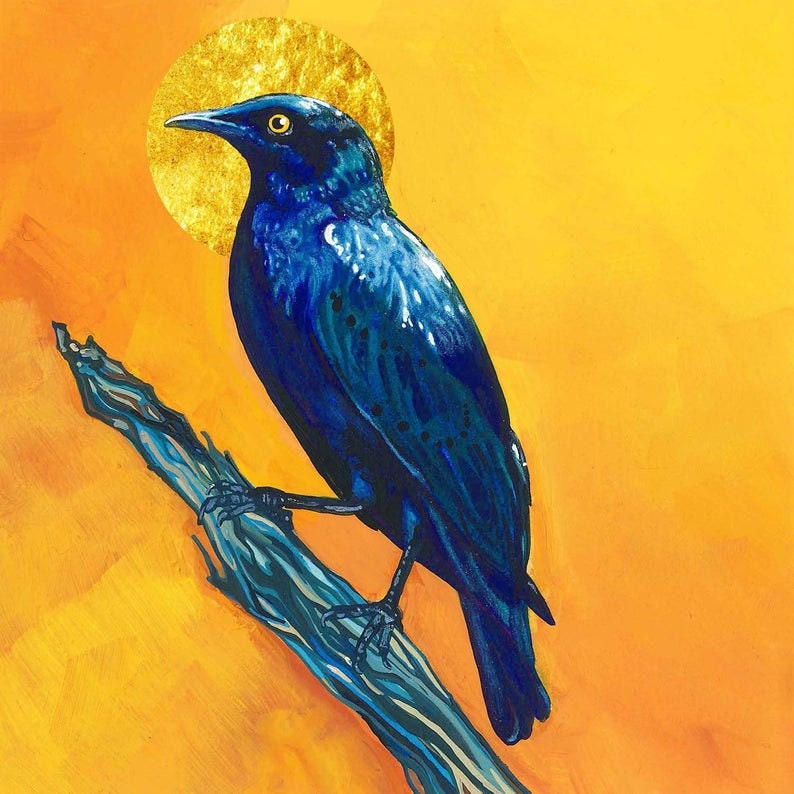 Greater Blue Eared Starling Bird limited Edition With Hand Embellished ...