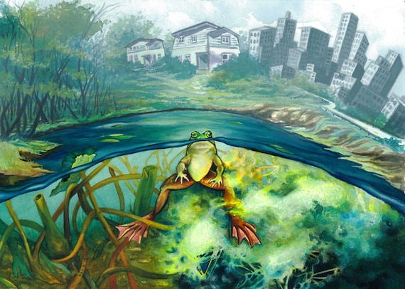 Frog Pond Original Watercolor Painting | Etsy