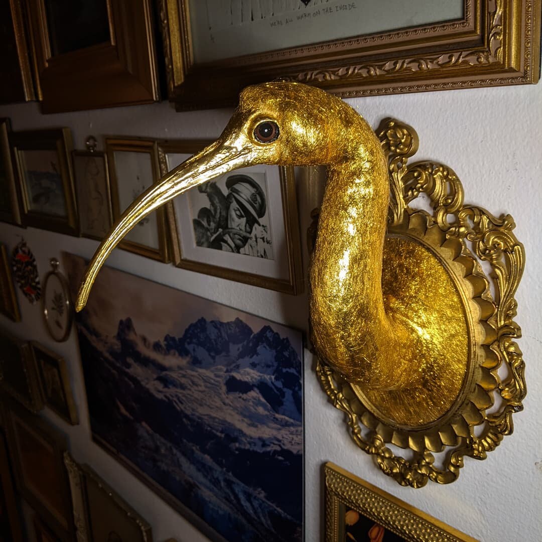 Golden Ibis Needle Felted Faux Taxidermy Wool Bird Sculpture - Etsy