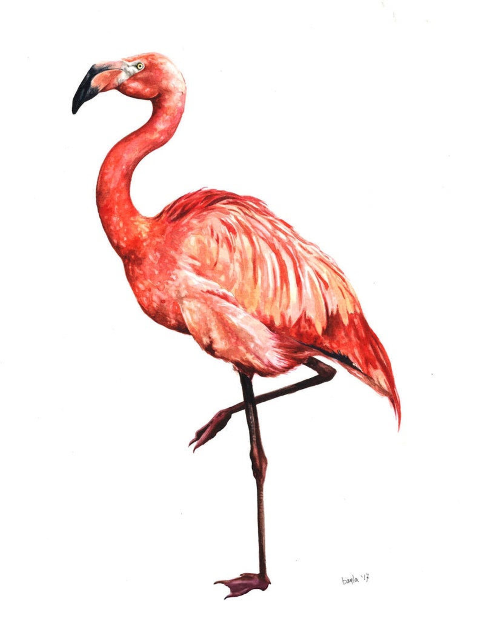 Flamingo Fine Art Print of Watercolor Painting - Etsy