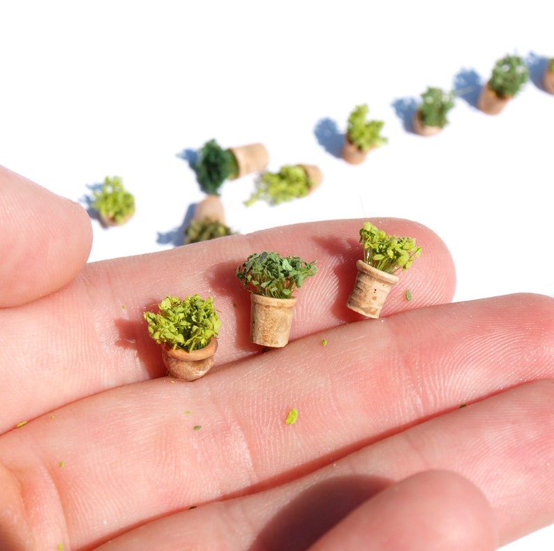 Miniature Flower Pots HO OO scale Green plants mix model | Etsy