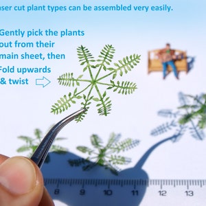 Miniature Tall Weed / Wild Flowers Plants, Grass Tufts 8pcs HO OO Scale ...