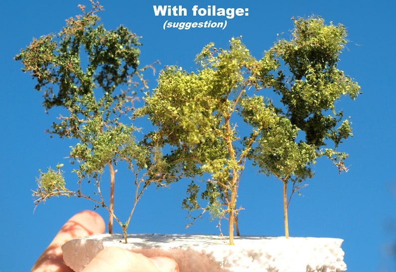 50 Pieces Box Teloxys Aristata Seafoam Trees Model Tree Armatures ...