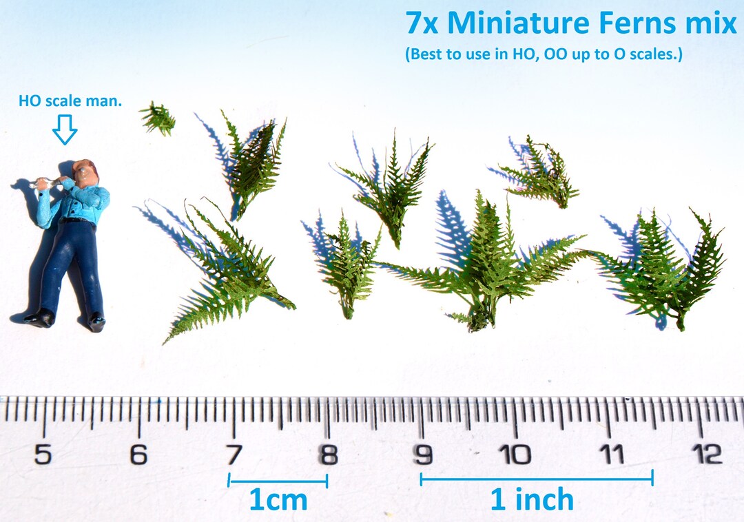 Miniature Fern Plants HO O Scale Model Railway Diorama Laser Plants - Etsy