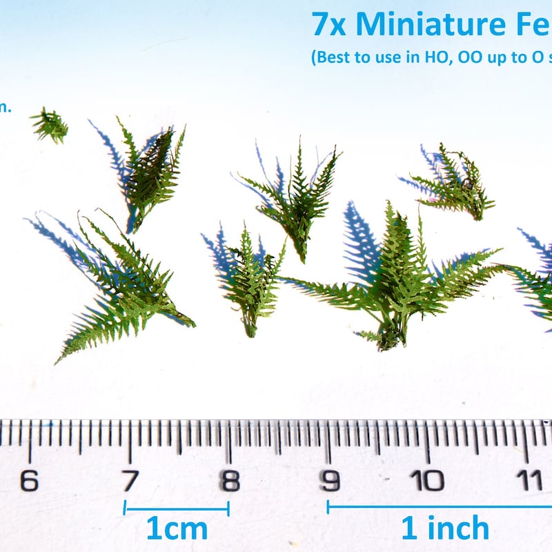 Miniature Fern - Etsy