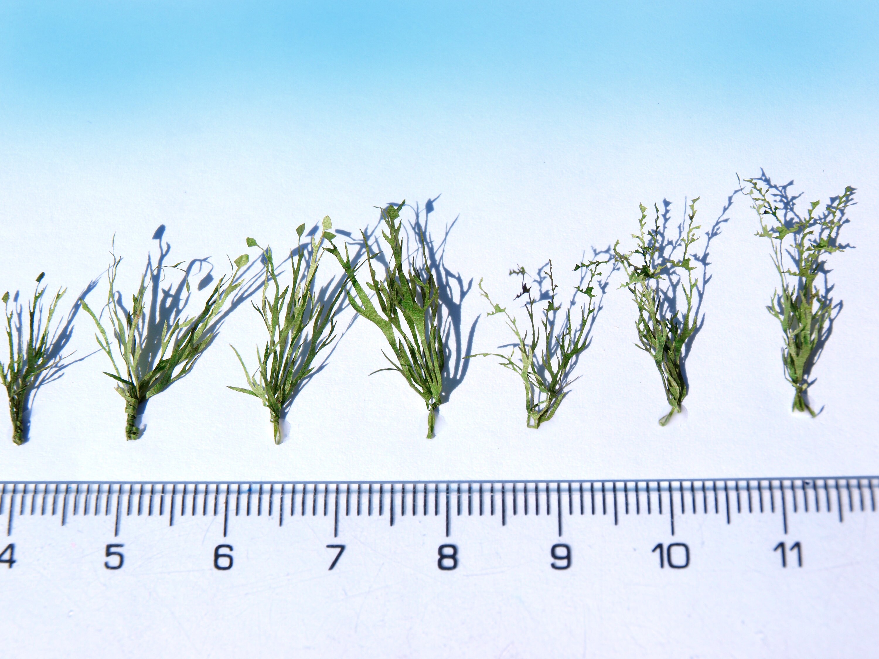 Miniature Tall Weed / Wild Flowers Plants Grass Tufts 8pcs HO | Etsy