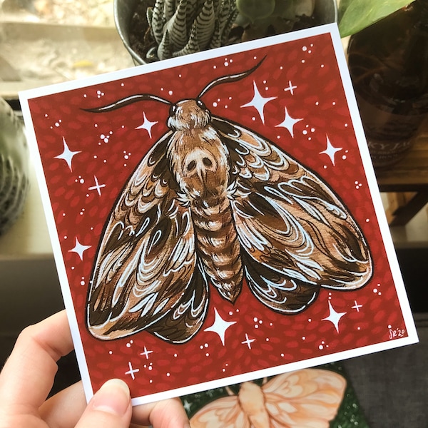 Moth Art - Etsy