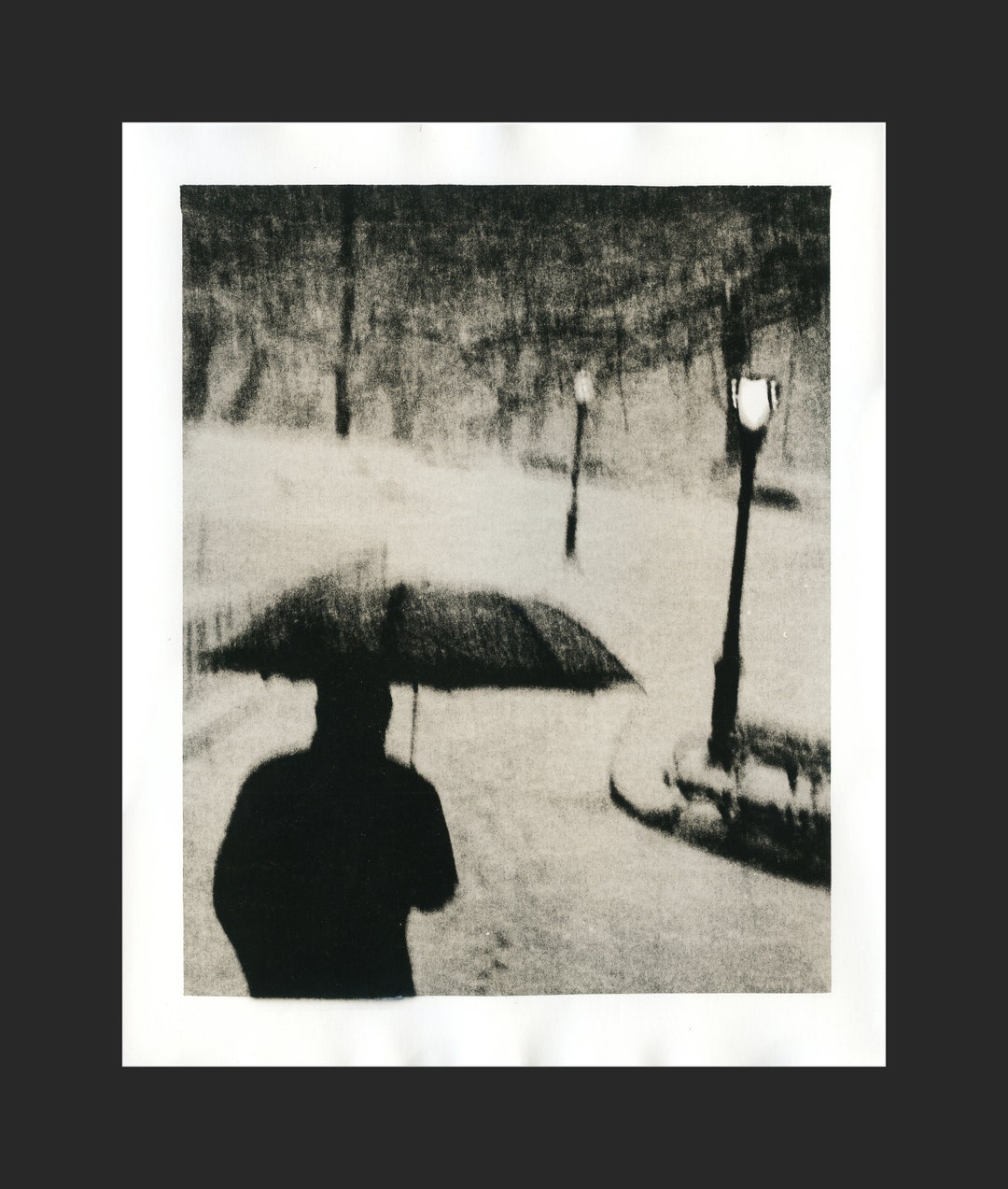 Dusky Evening in the Central Park (2004). Darkroom Silver Gelatin Lith ...