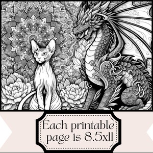 Dragons Sphynx Cats Intricate Coloring Pages Digital Download for Teens ...