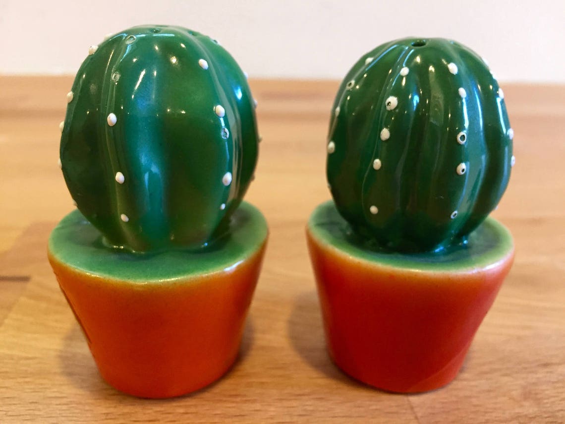 Adorable Cactus Salt and Pepper Shakers Succulent Southwest - Etsy