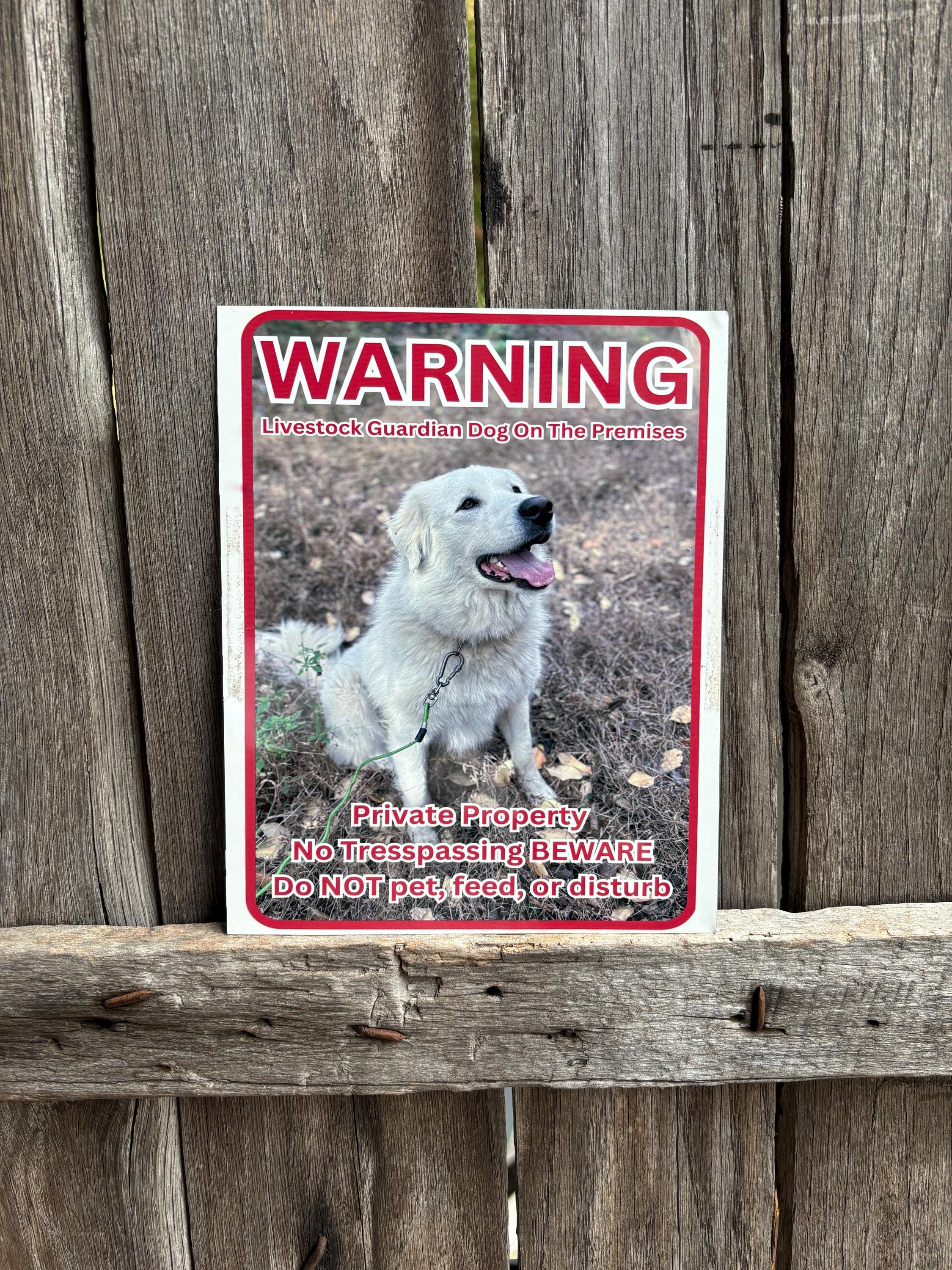 Customizable No Trespassing Aluminum Sign: Add Your Photo & Text - Etsy