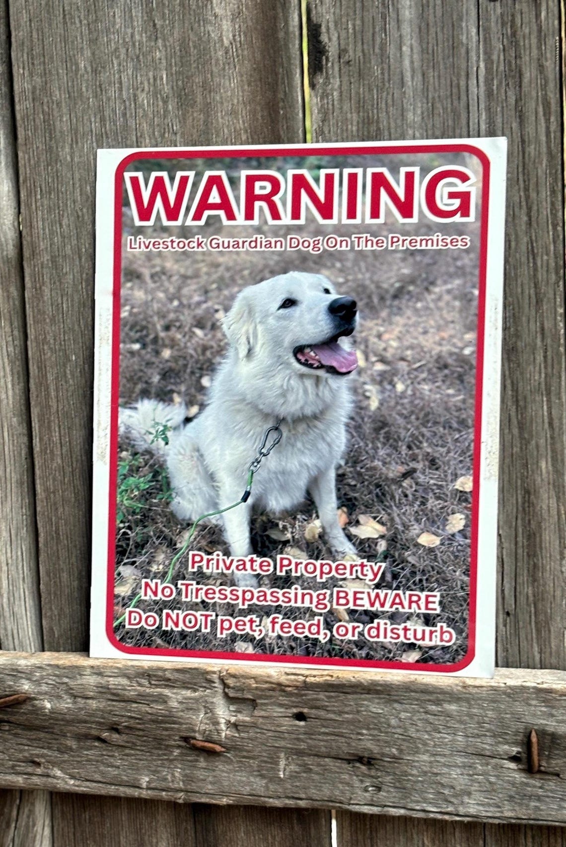 Customizable No Trespassing Aluminum Sign: Add Your Photo & Text - Etsy