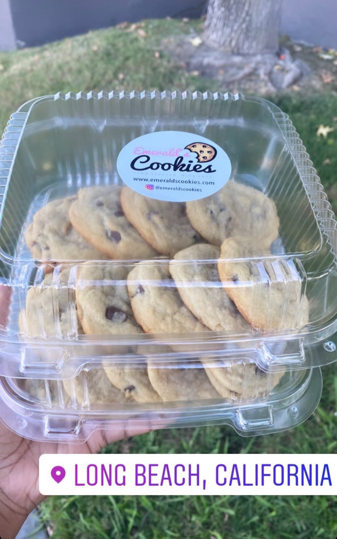 Super Moist & Chewy Chocolate Chip Cookies - Etsy