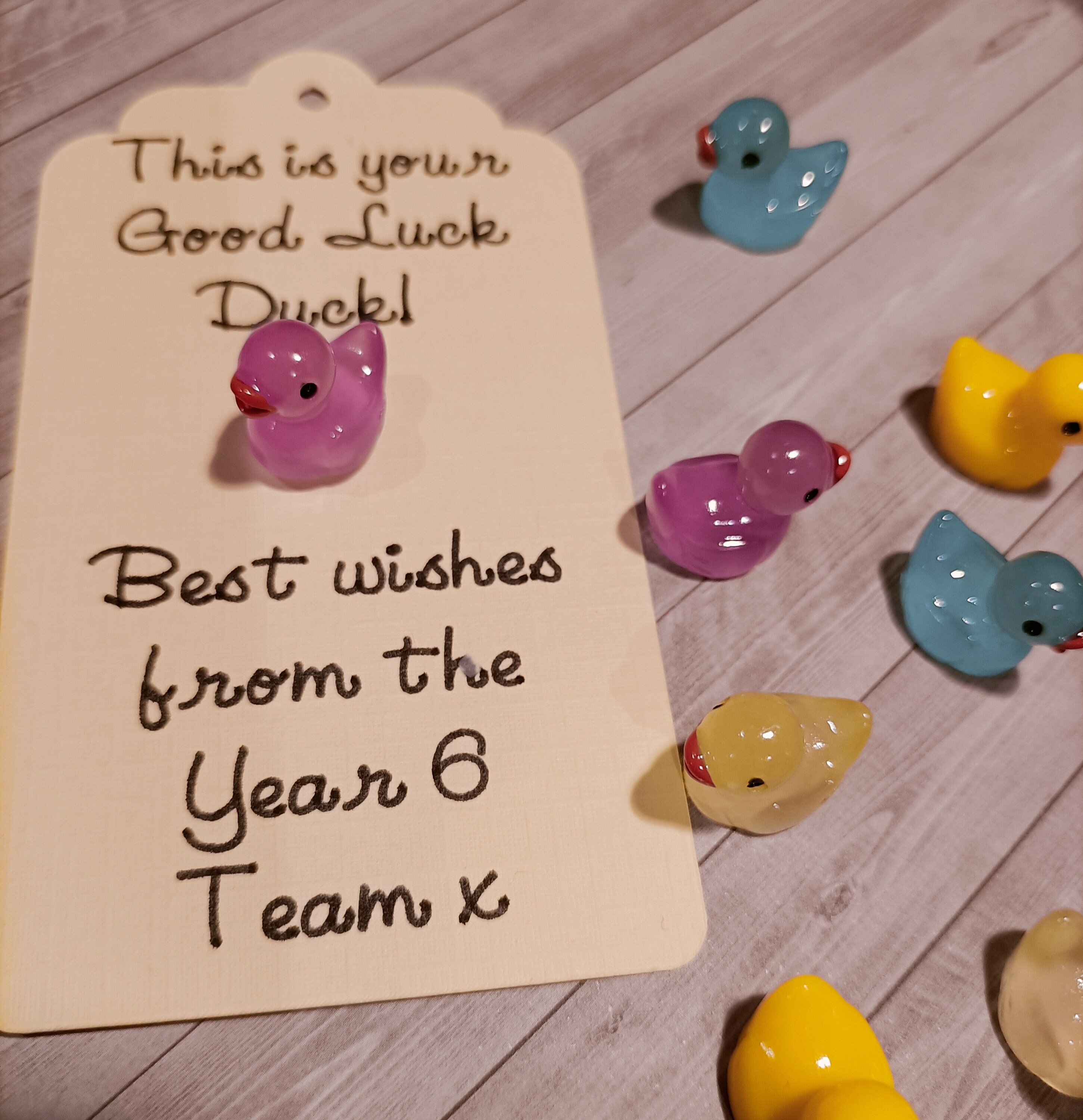 Good Luck Duck Gift to Receive by 18th July Items MUST Be Ordered by ...