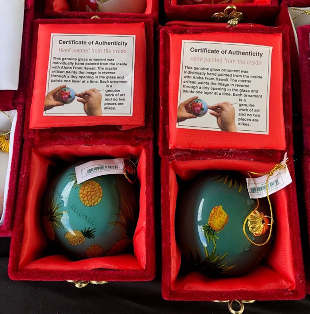 Hand Painted Hawaii State Fish Humuhumunukunukuapua'a Reef - Etsy