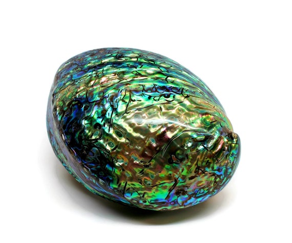 Unisex Natural Koa Wood/Abalone Paua Shell Inlay Tung… - Gem