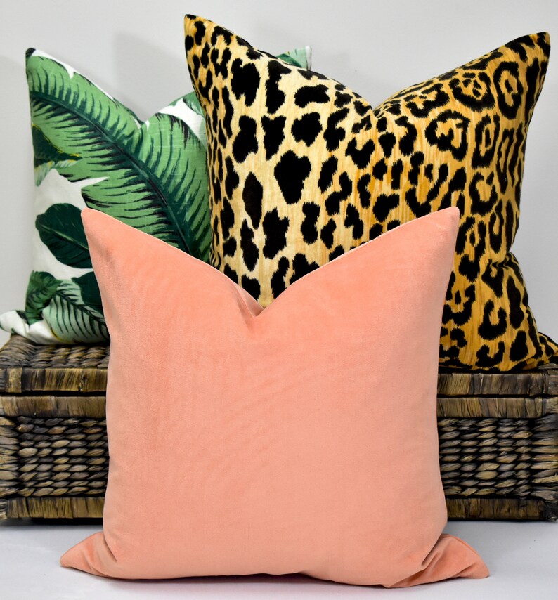 What Is Coral Velvet at Lucille Stone blog