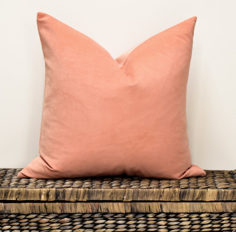 Coral Velvet Cushion Pink Coral Velvet Pillow Cover Soft Pink Throw ...