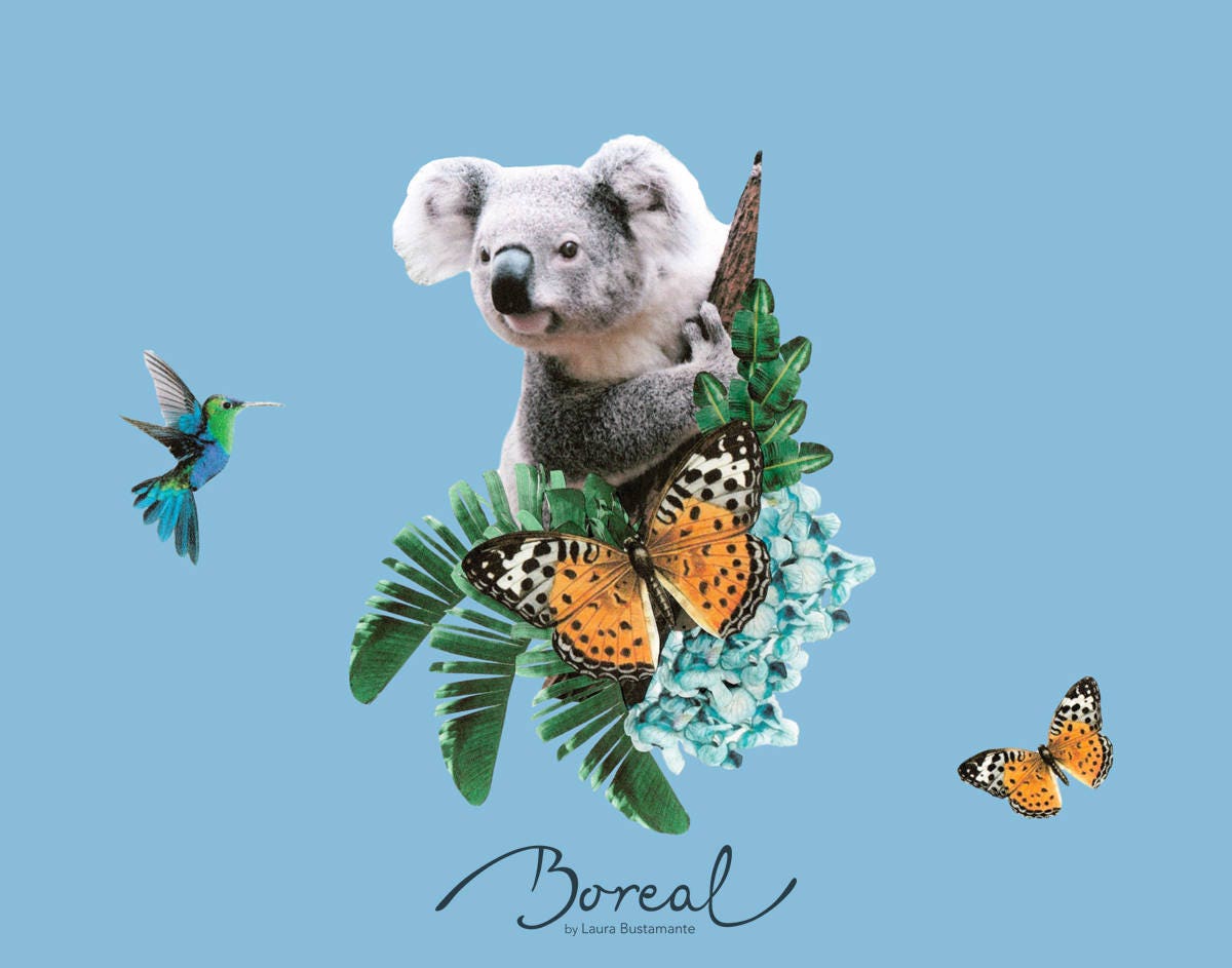 Koala Collage Print Hintergrund Tier Dekoration Home Deco | Etsy