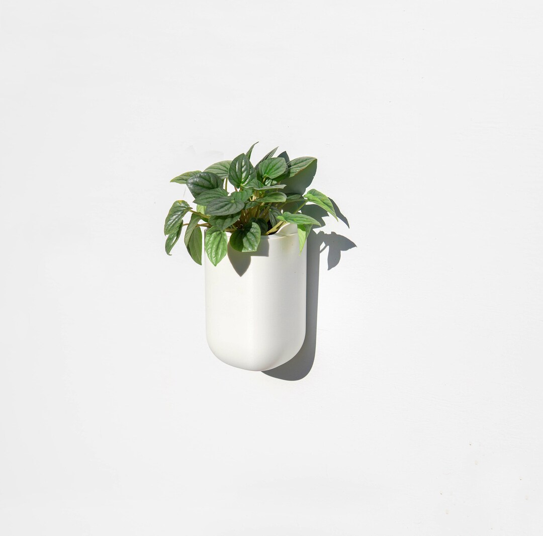 Self Watering Floating Wall Planter Matte White multiple Sizes - Etsy
