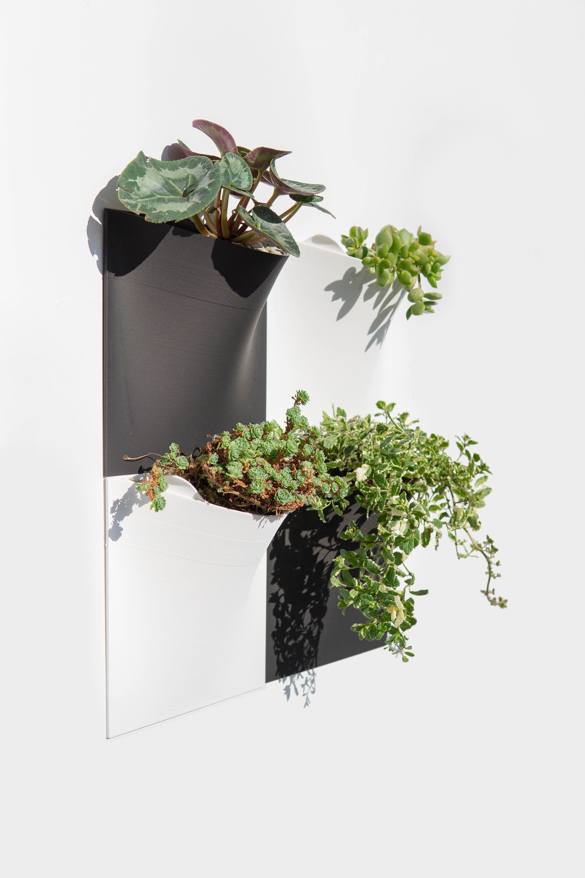 Self Watering Wall Planter Modular Tile | Etsy