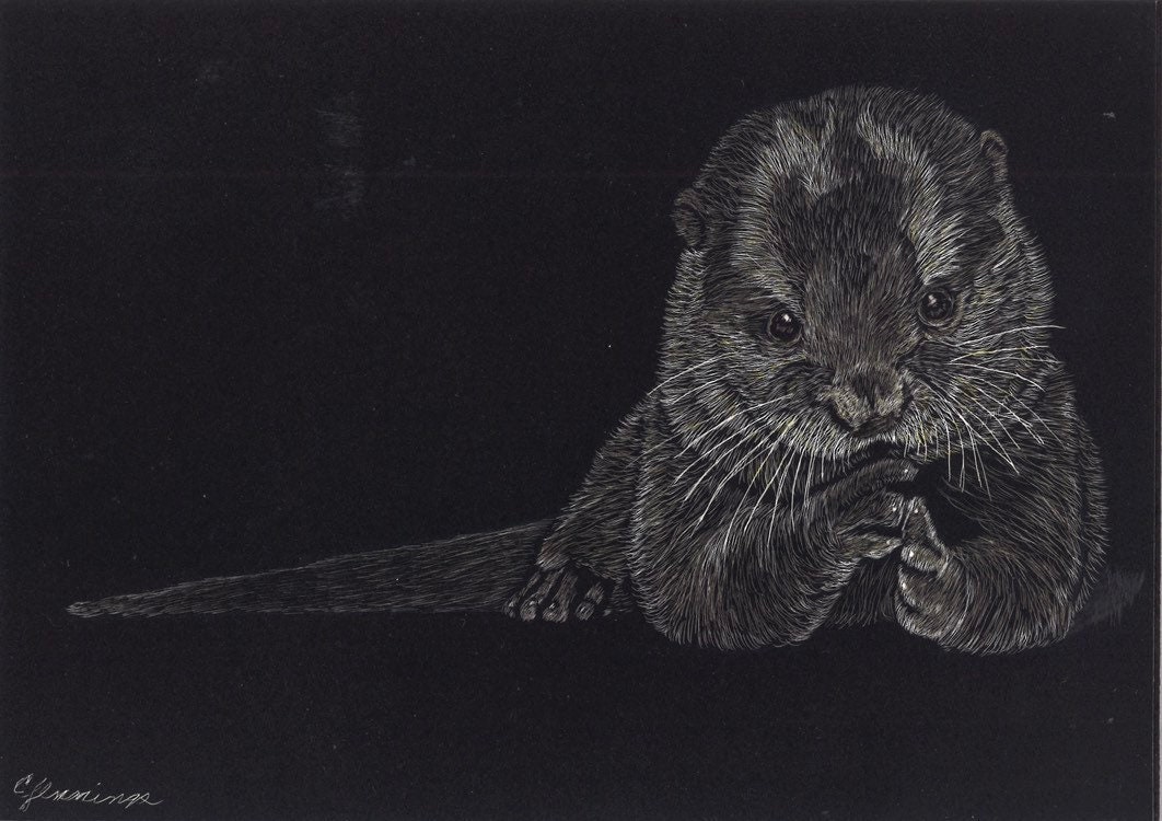 Pick an Otter Any Otter Free Shipping for One of a Kind - Etsy