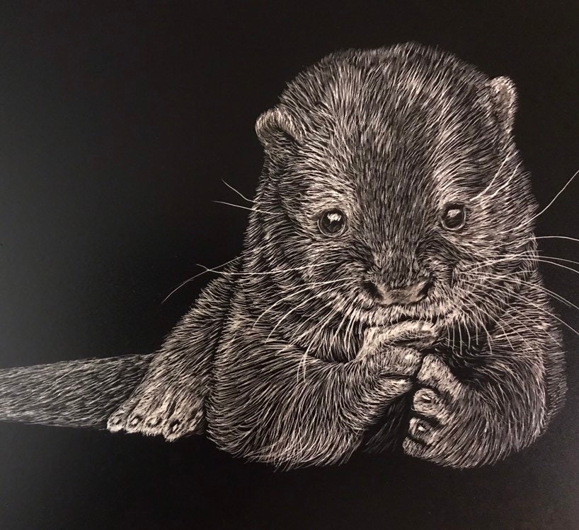 Pick an Otter Any Otter Free Shipping for One of a Kind - Etsy