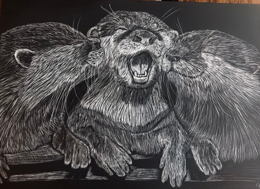 Pick an Otter Any Otter Free Shipping for One of a Kind - Etsy