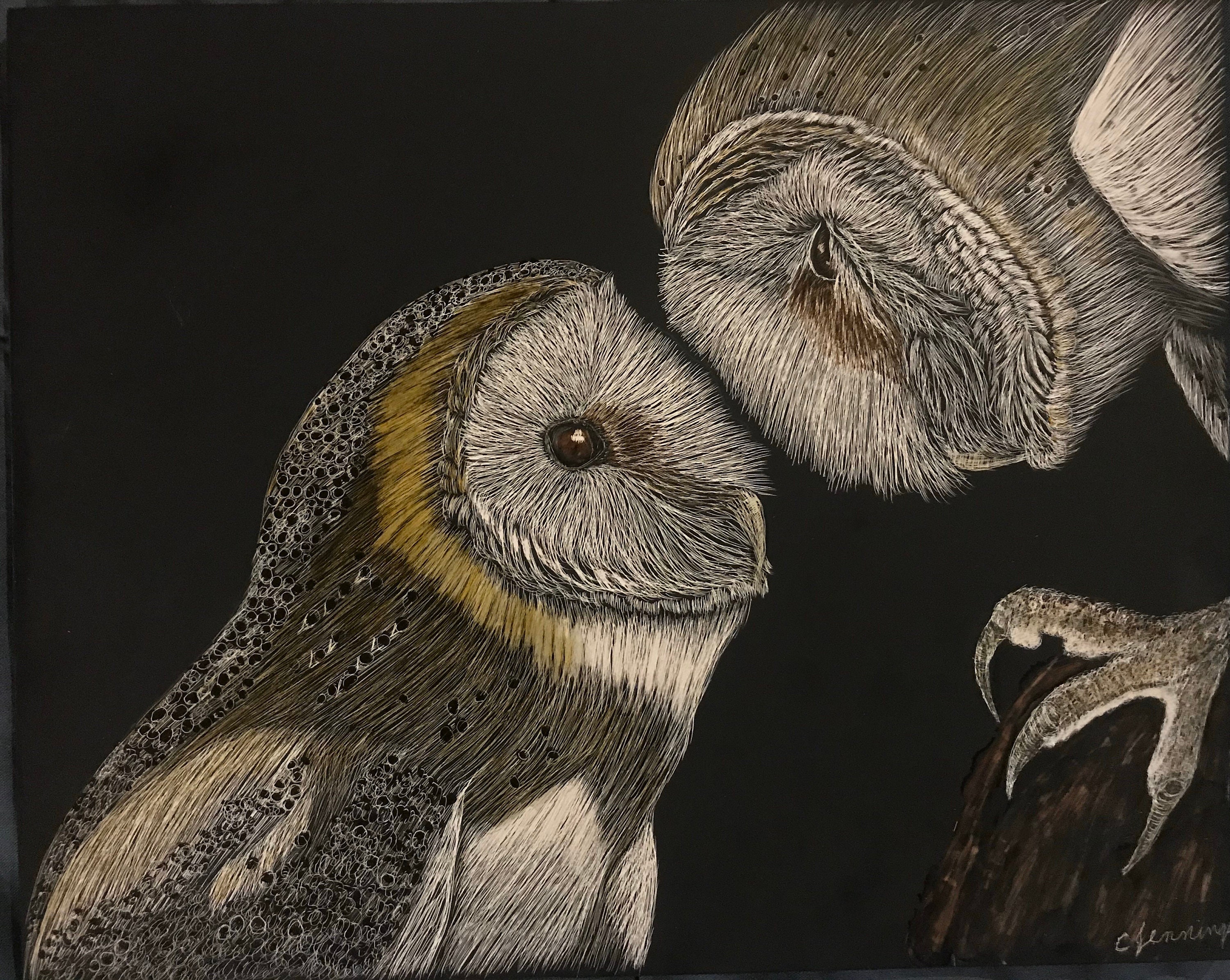 Look Hoo's Home Snuggling Barn Owl Scratchboard Free Shipping - Etsy