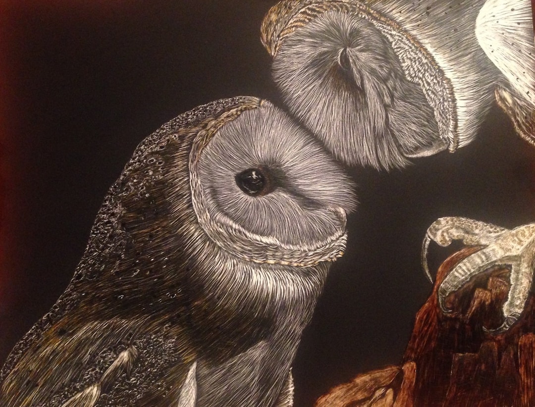 Look Hoo's Home Snuggling Barn Owl Scratchboard Free Shipping - Etsy
