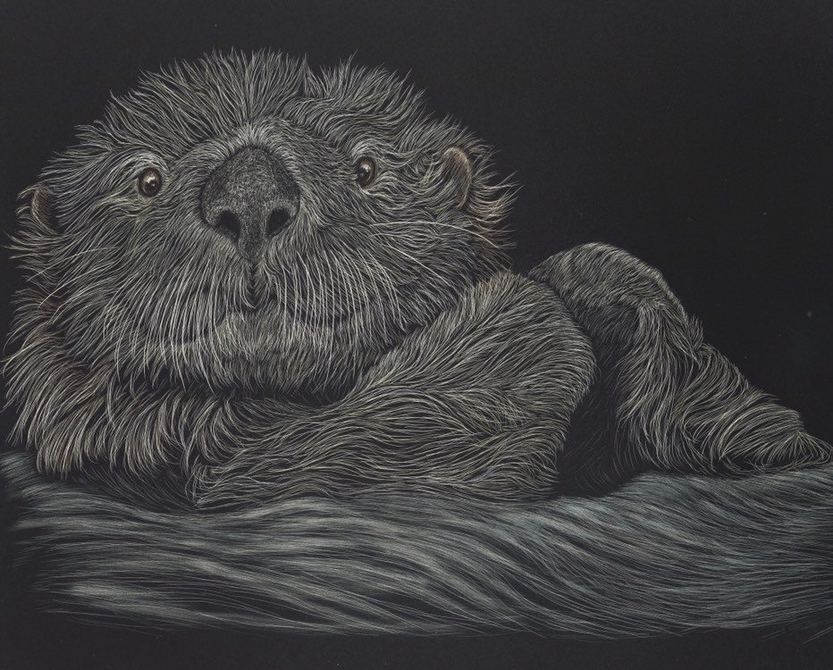 Pick an Otter Any Otter Free Shipping for One of a Kind - Etsy