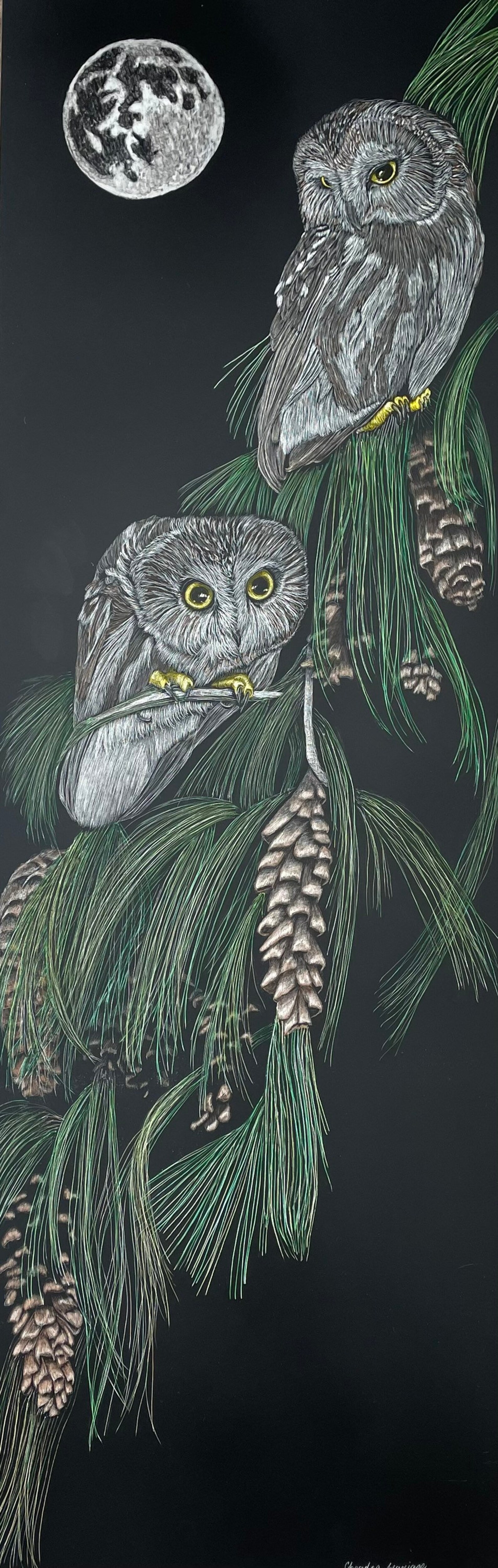 Large Owl Scratchboard - Etsy
