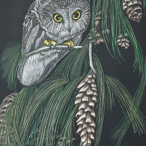 Large Owl Scratchboard - Etsy