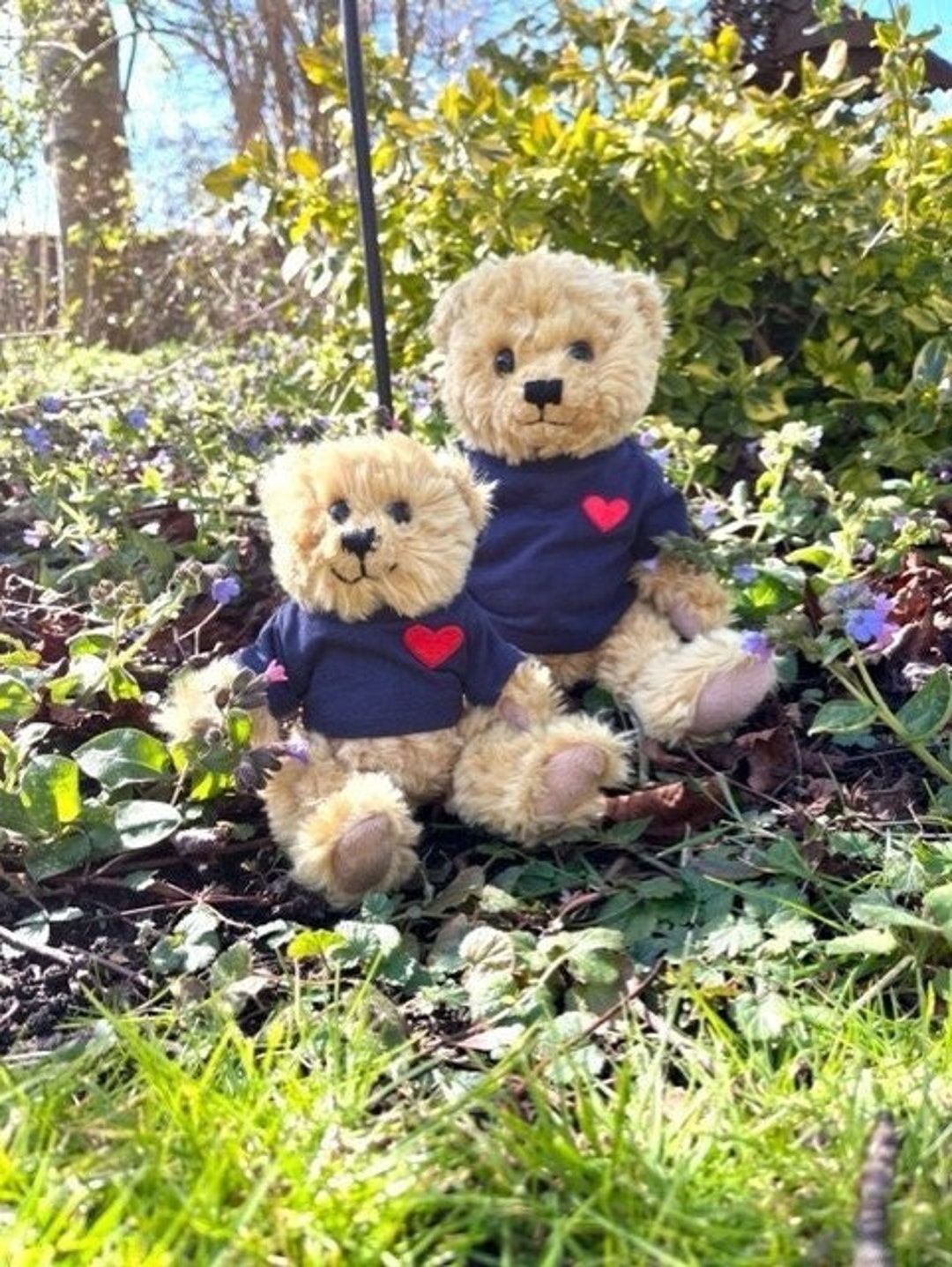 Charity Teddy Bears. One Comes to You and the Smaller One Goes for ...