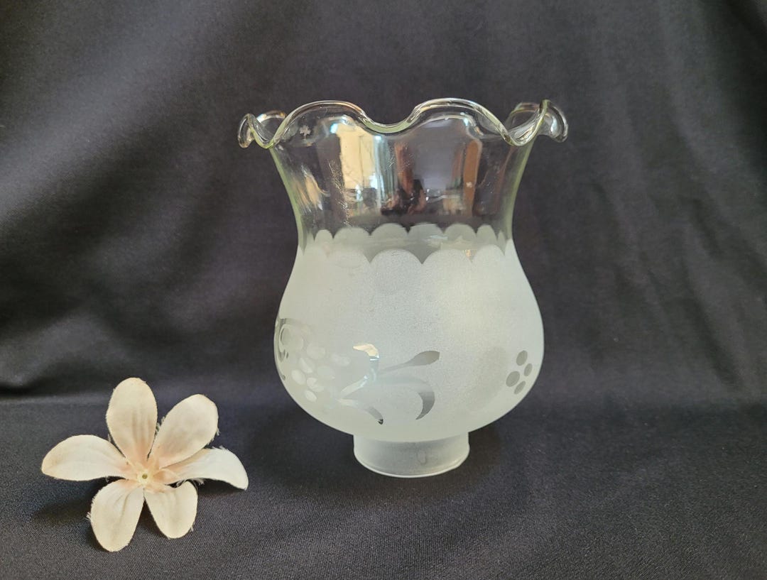 Light Shades ONE Frosted Light Covers Glass Shades With Berry Design ...