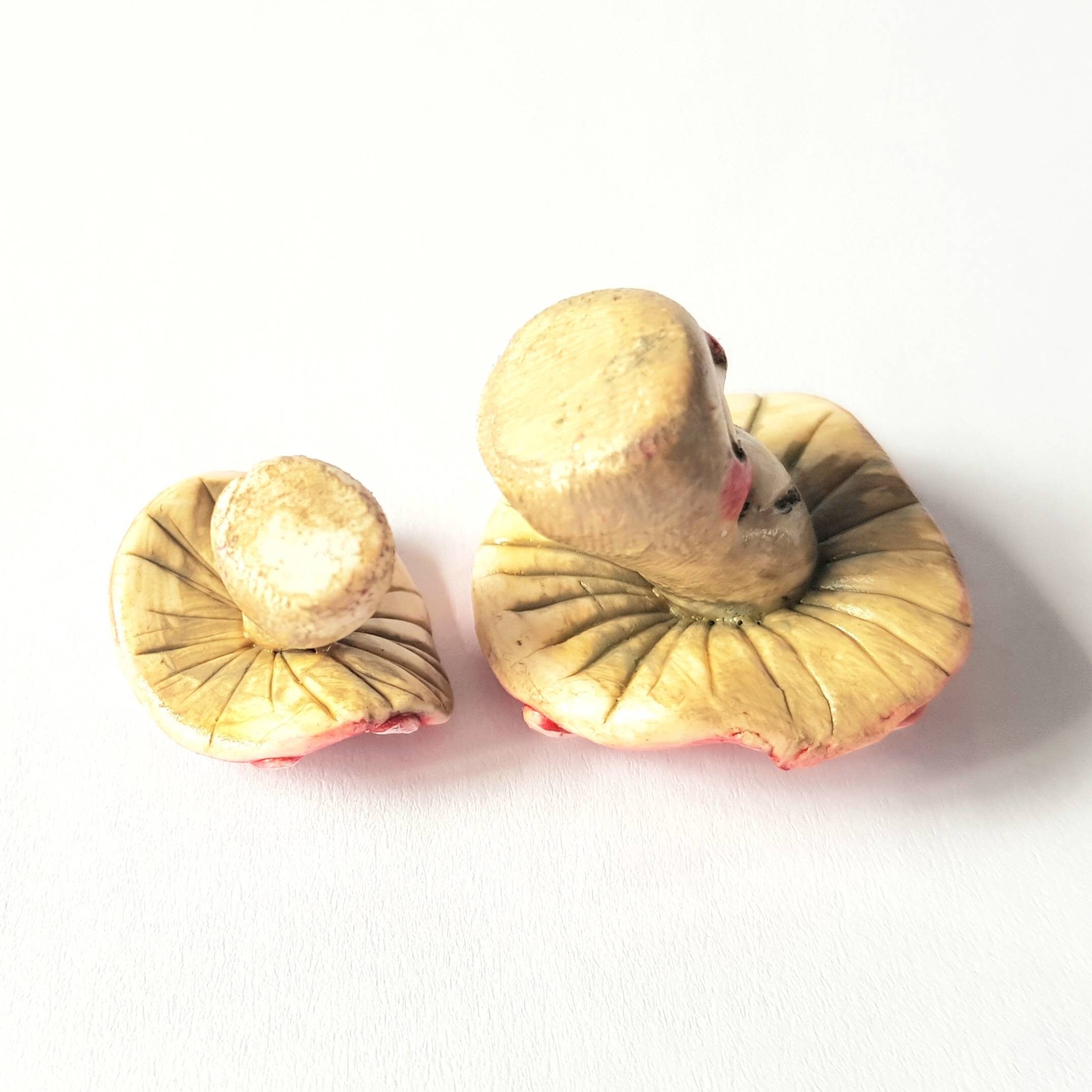 Kawaii Toadstools Handmade Fairy Garden Accessory Smiling - Etsy UK