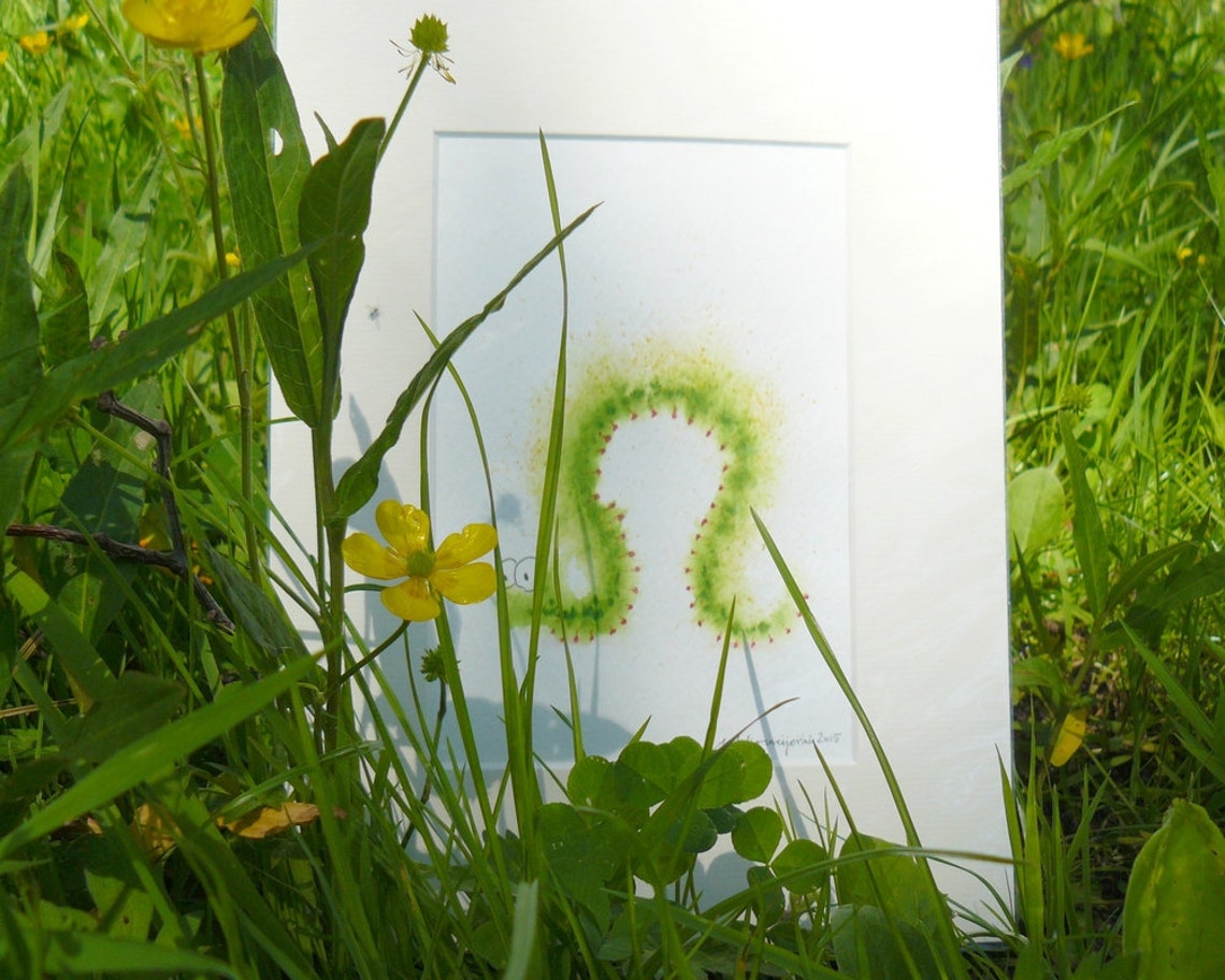 Raupe, Raupe Illustration, Tier Aquarell, Kinderzimmer Dekor ...