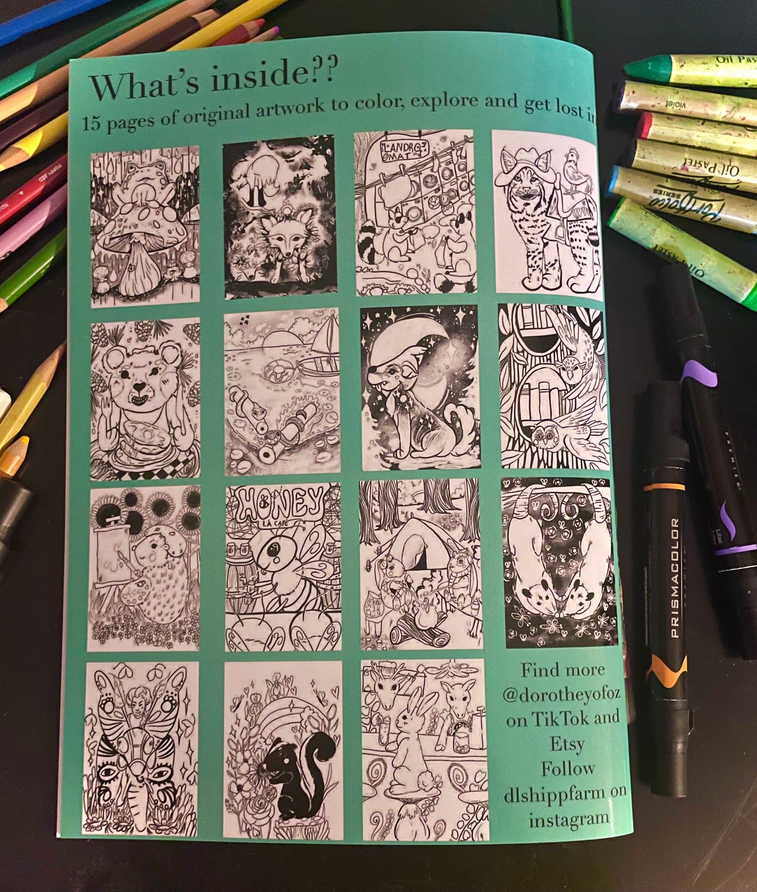 Woodland Journey Coloring Book | by Dorothy Shipp-alliata | 15 Pages ...