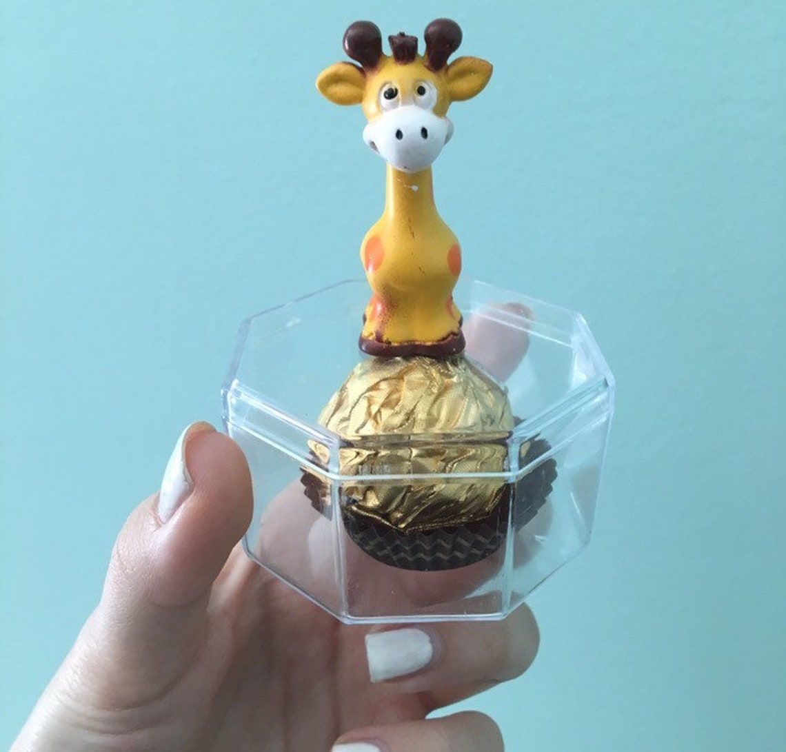 Safari Themed Favor Boxes Safari Animals Jungle Themed Favor | Etsy