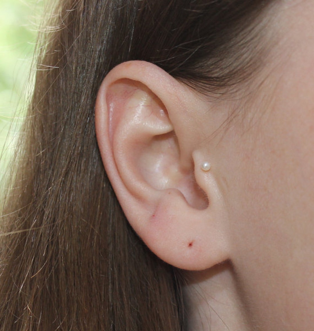 Gold Tragus Piercing Stud Tragus Earring 18g Cartilage Stud - Etsy