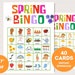 Spring Bingo Cards, Printable Spring Bingo, Download Springtime Bingo ...