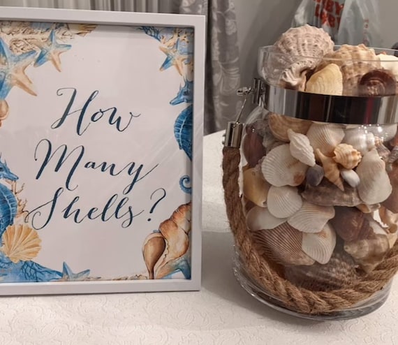 How Many Shells in Jar Guess How Many Shells How Many | Etsy